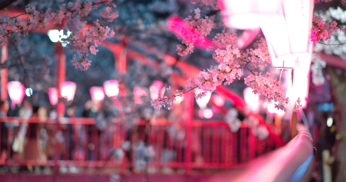Five Asian cities with spectacular spring displays