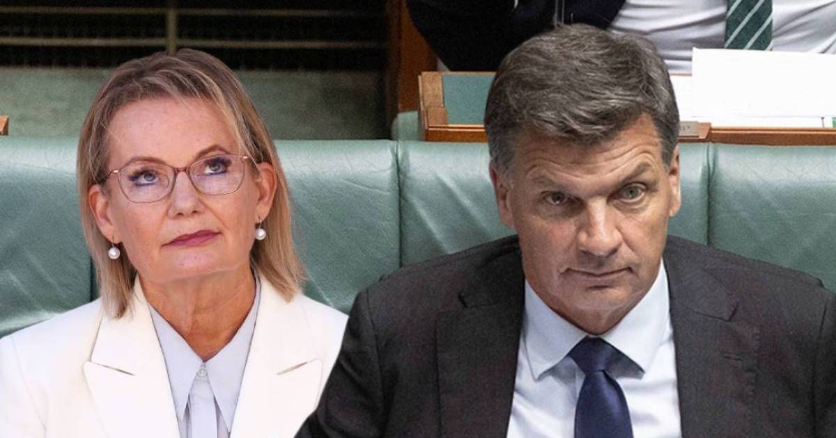 What we know about Liberal leadership aspirant Angus Taylor