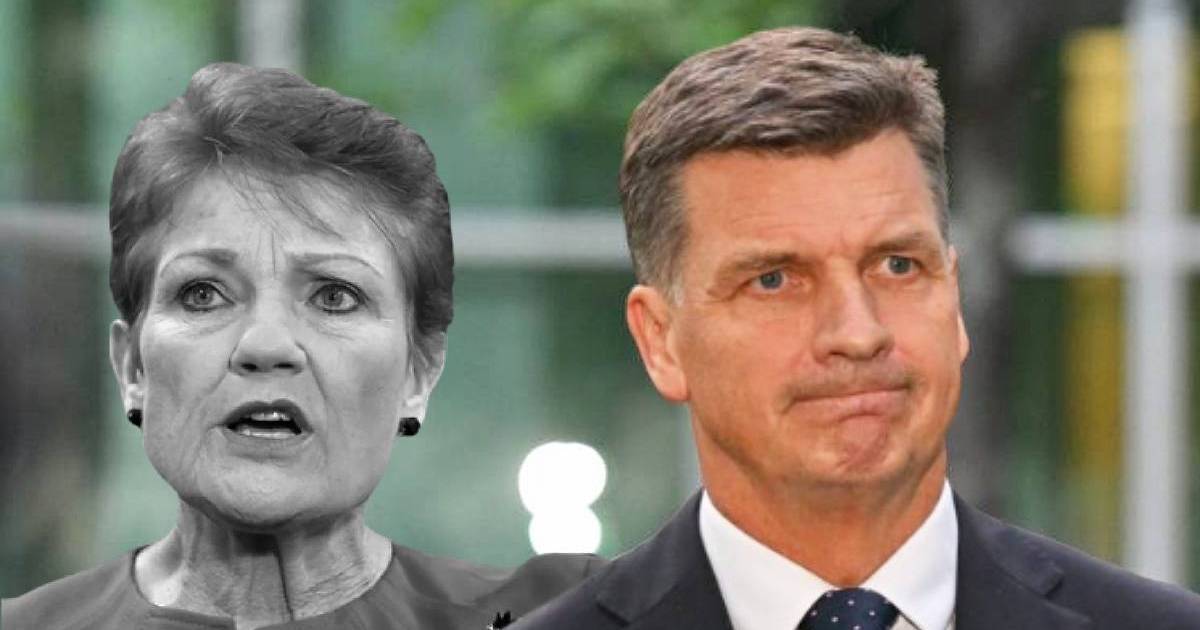 What the Liberal leadership change means for the party and policy