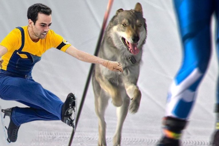 Eight viral moments from the Winter Olympics