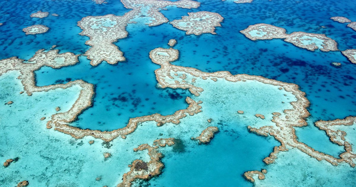 Great Barrier Reef makes 2026 global bucket-list