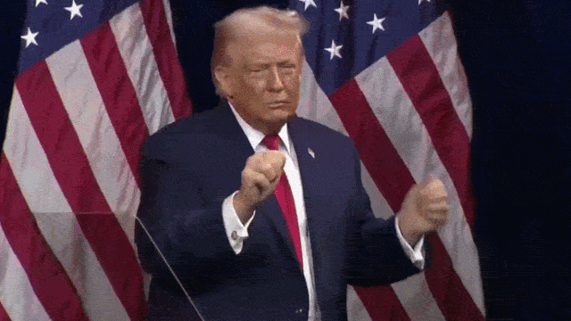 Melania Trump 'hates' Donald's viral YMCA dance