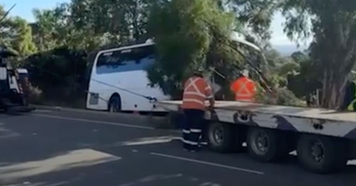 Students injured as bus carrying 41 crashes