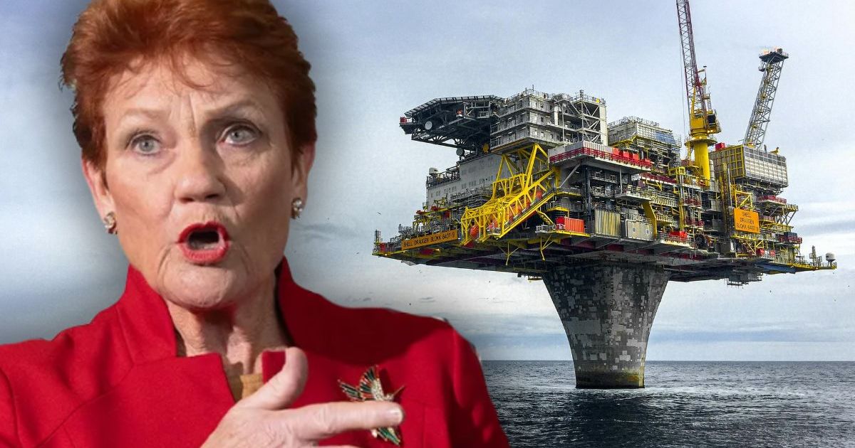 Why the industry loves Hanson's gas policy – and Labor won't