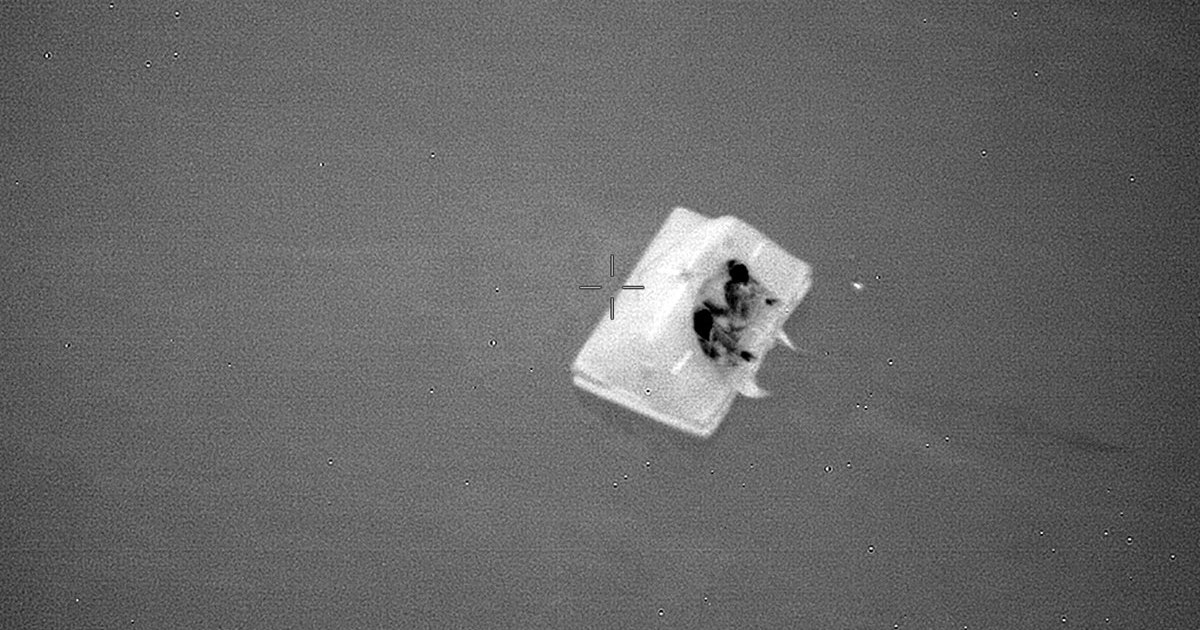 Two people and dog rescued from life raft after boat sinks