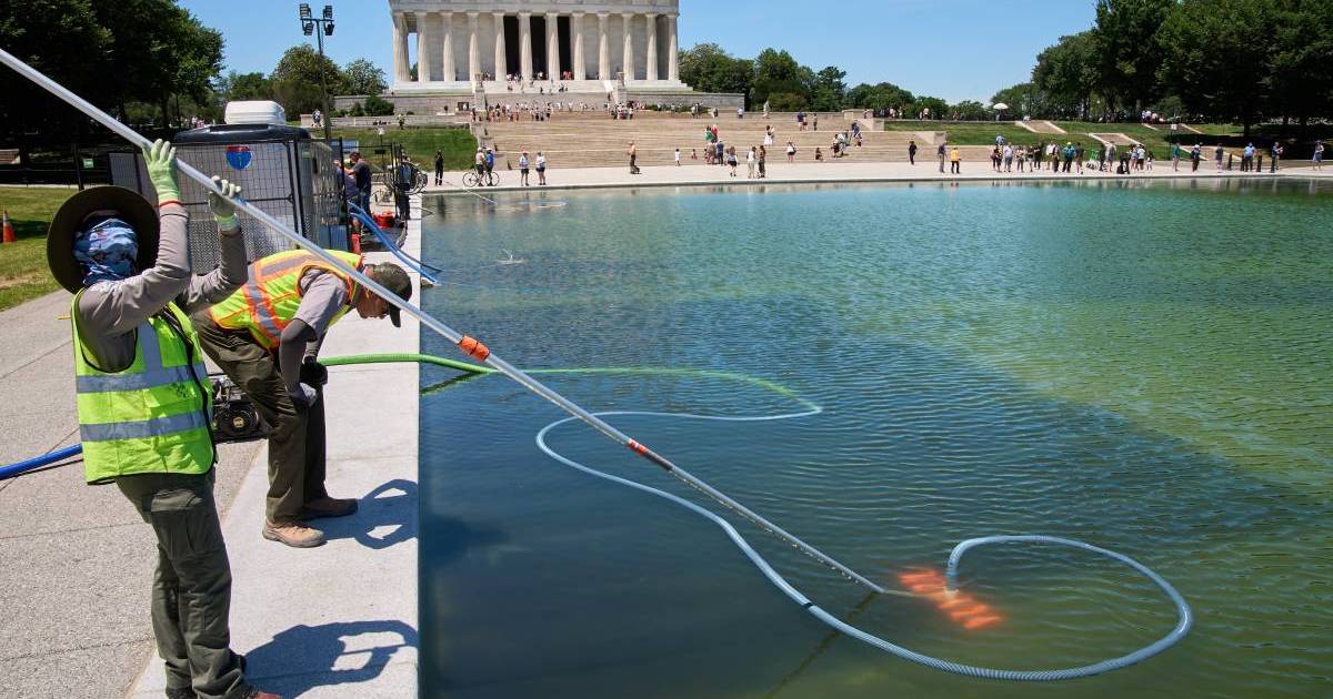 Trump's 'American flag blue' reflecting pool turns green